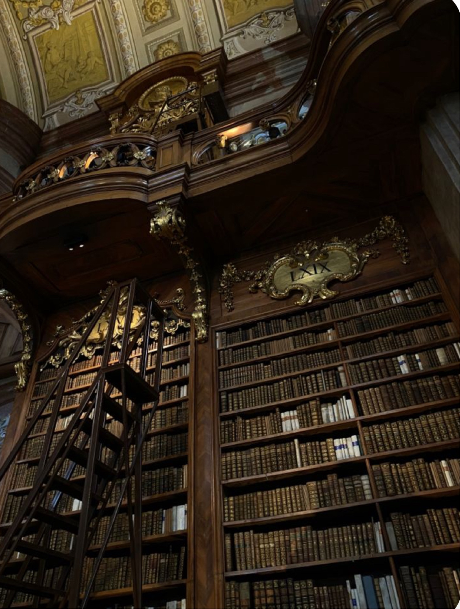 Love in other words Book Club | Join & Read on Fable